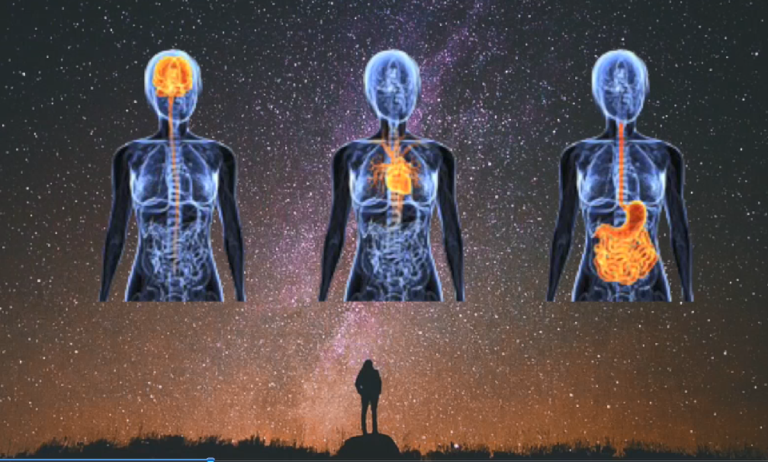 Adventures in Boundlessness